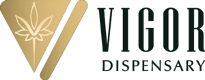 Home - Vigor